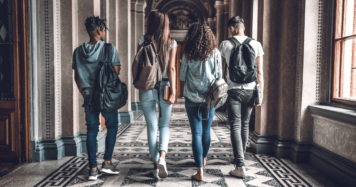 Exploring the Doctorate Degree: What You Need to Know