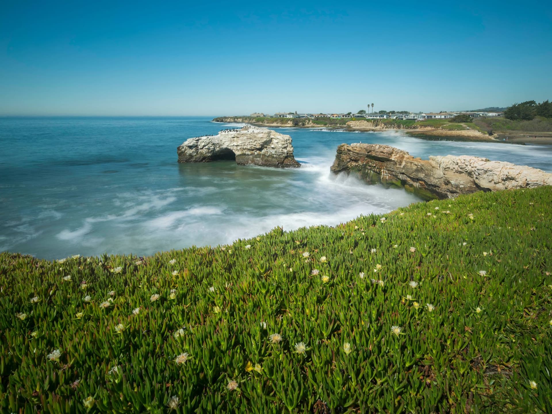 Your Guide to UC Schools Admissions: How To Get Accepted