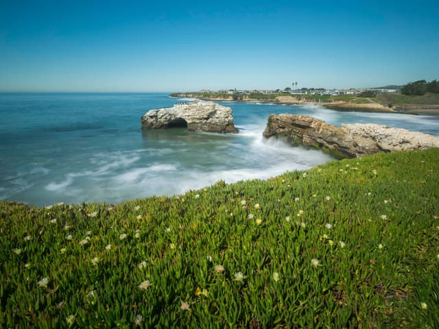 Your Guide to UC Schools Admissions: How To Get Accepted