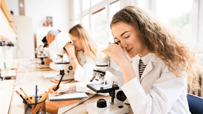 NCEA Explained: Everything you need to know about the NCEA