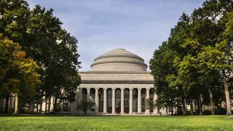 Harvard vs MIT: To Ivy League or Not To Ivy League